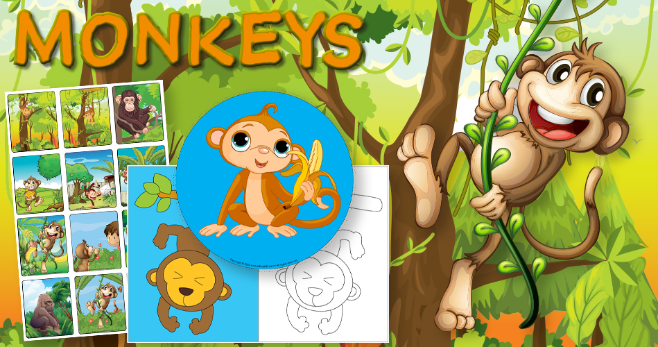 Monkeys - Theme and activities - Educatall